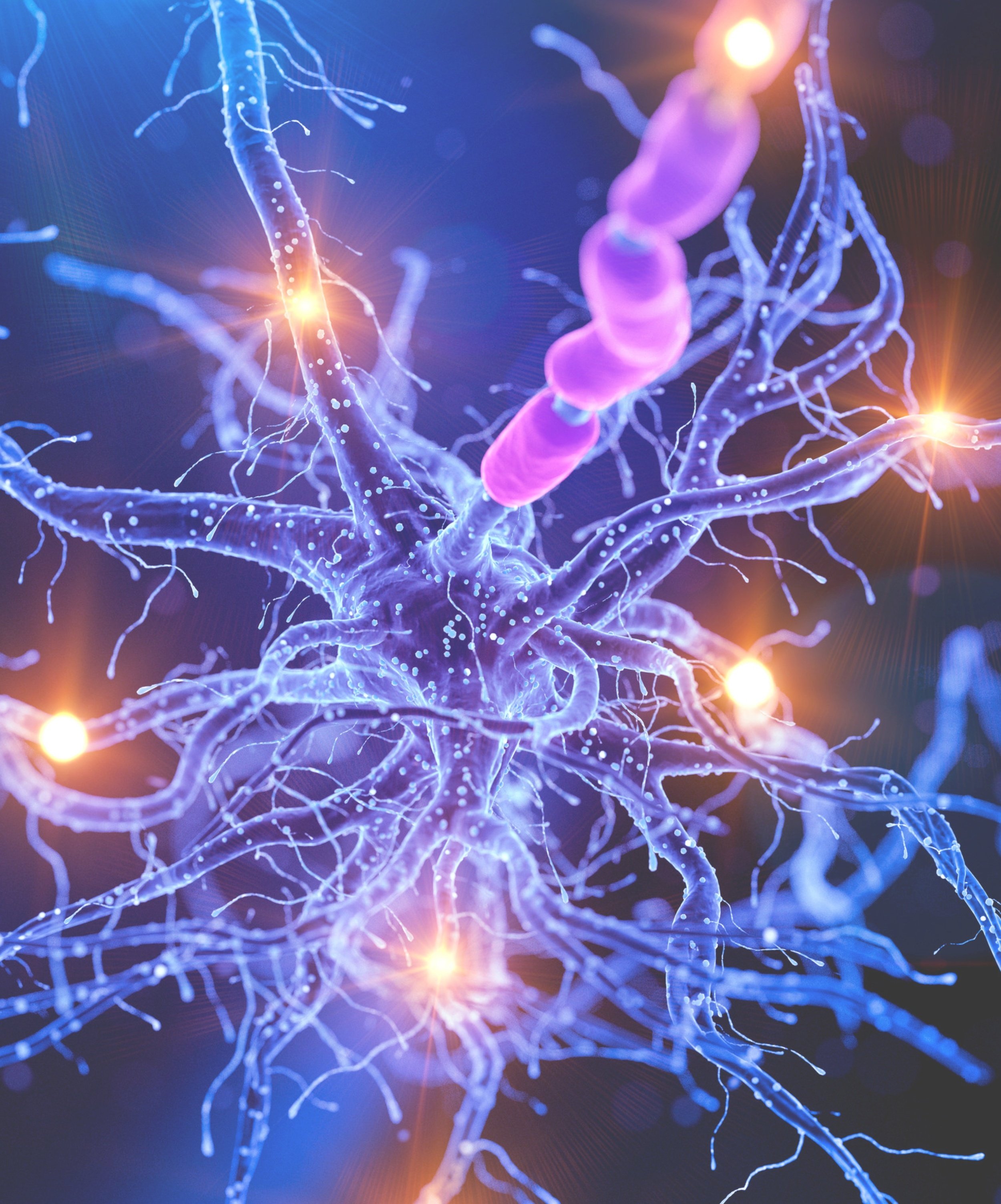 Détection de bandes oligoclonales dans le LCR
